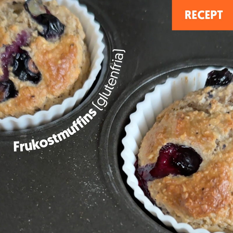 Frukostmuffins för hela familjen (naturligt glutenfria) – GroGro Sverige